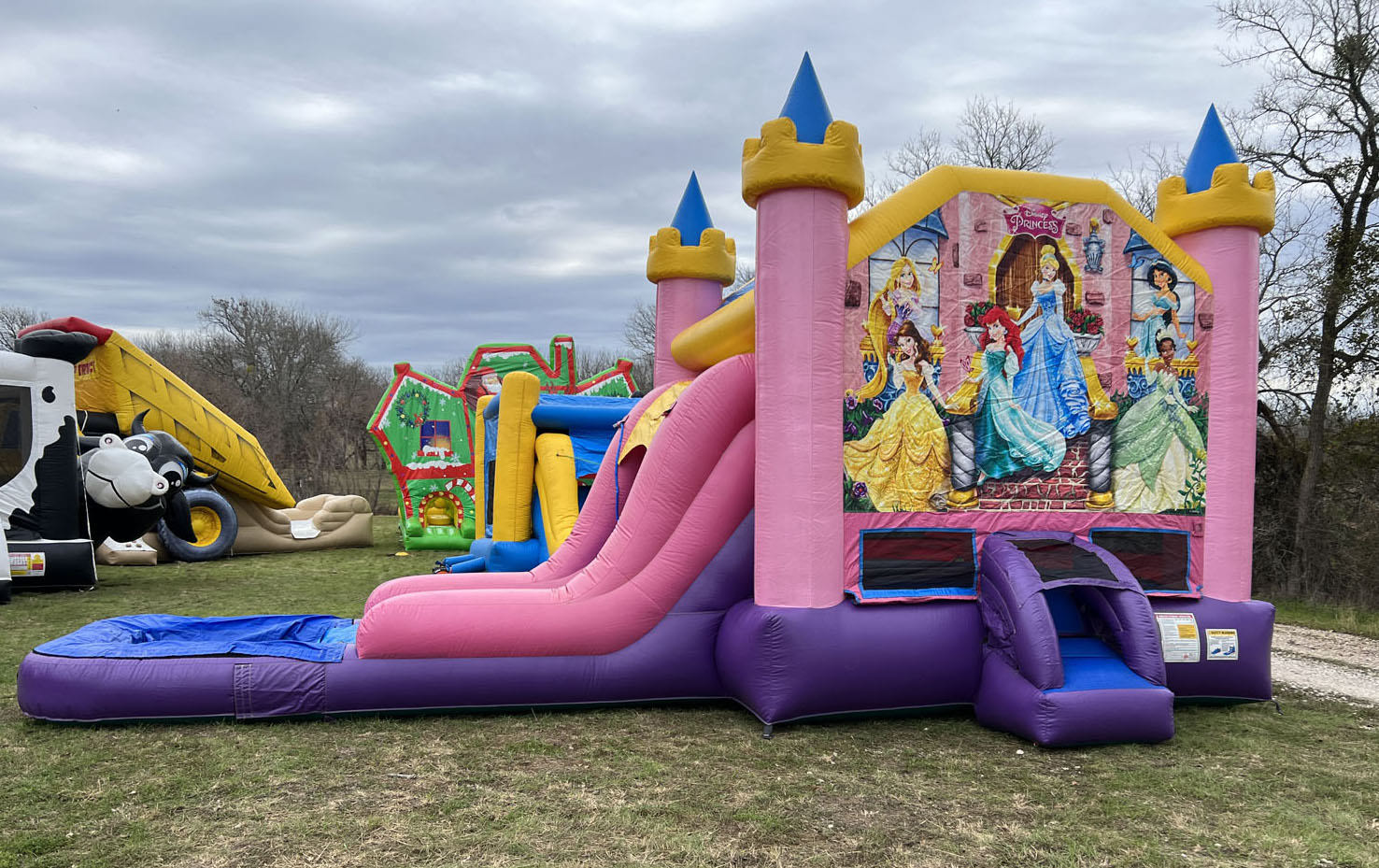 USA Disney Princess Bounce House | Sky High Party Rentals