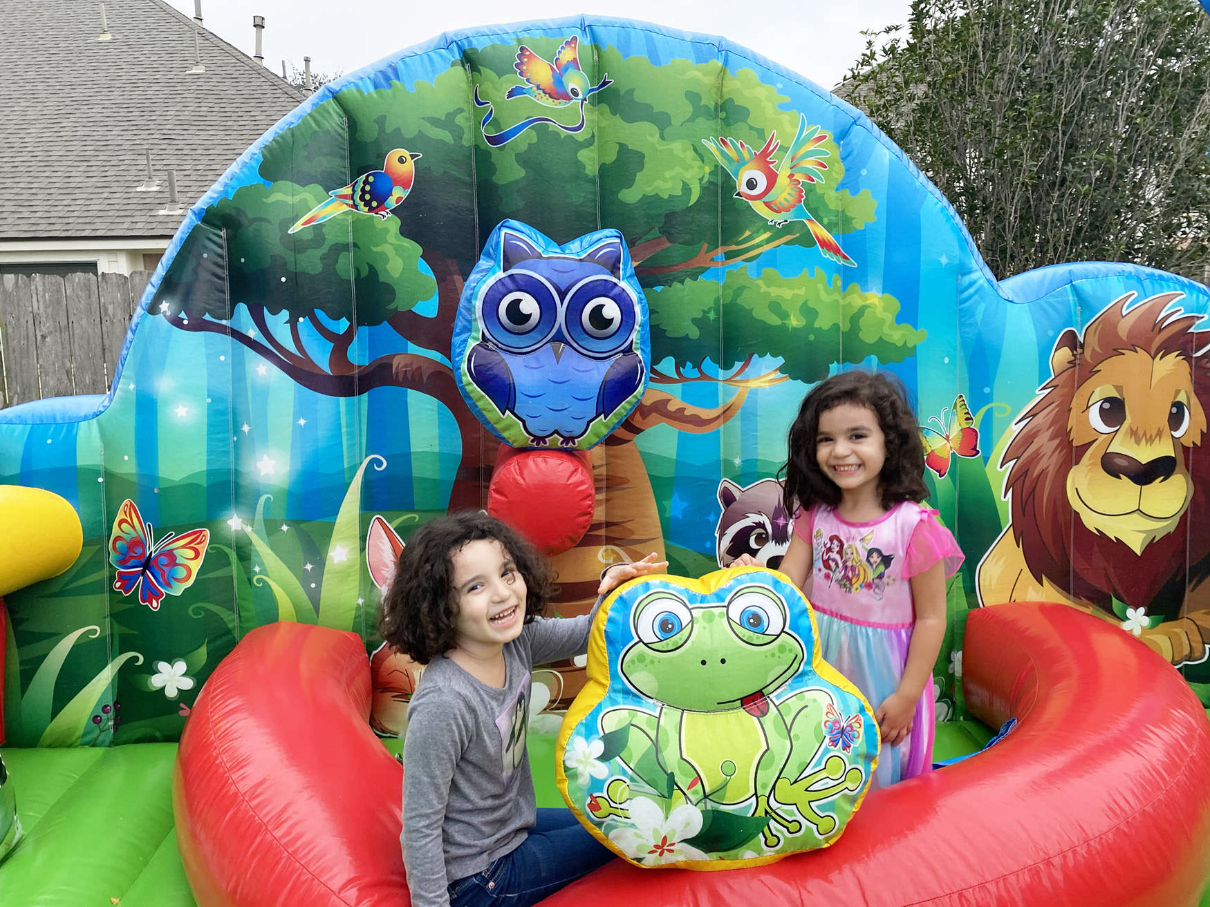 USA | Animal Kingdom Moonwalk | Sky High Party Rentals