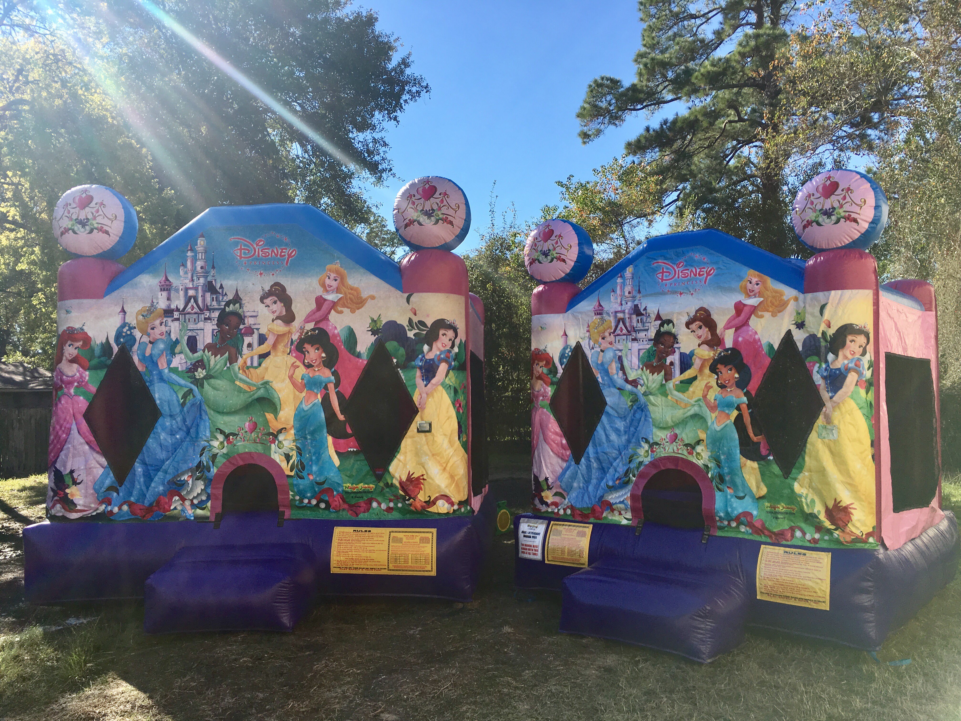 USA Princess Jumper Rental | Sky High Party Rentals