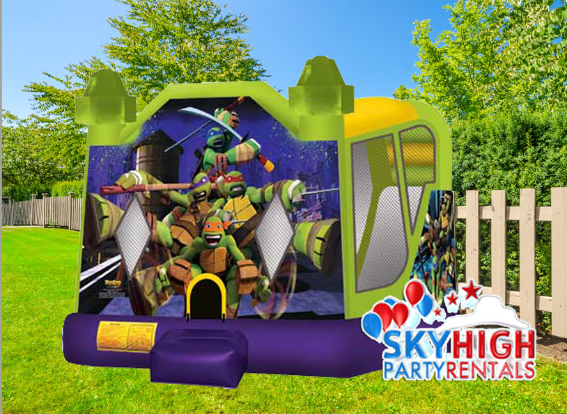 USA Ninja Turtle Combo with (Wet or Dry Slide) Rentals Sky High Party ...