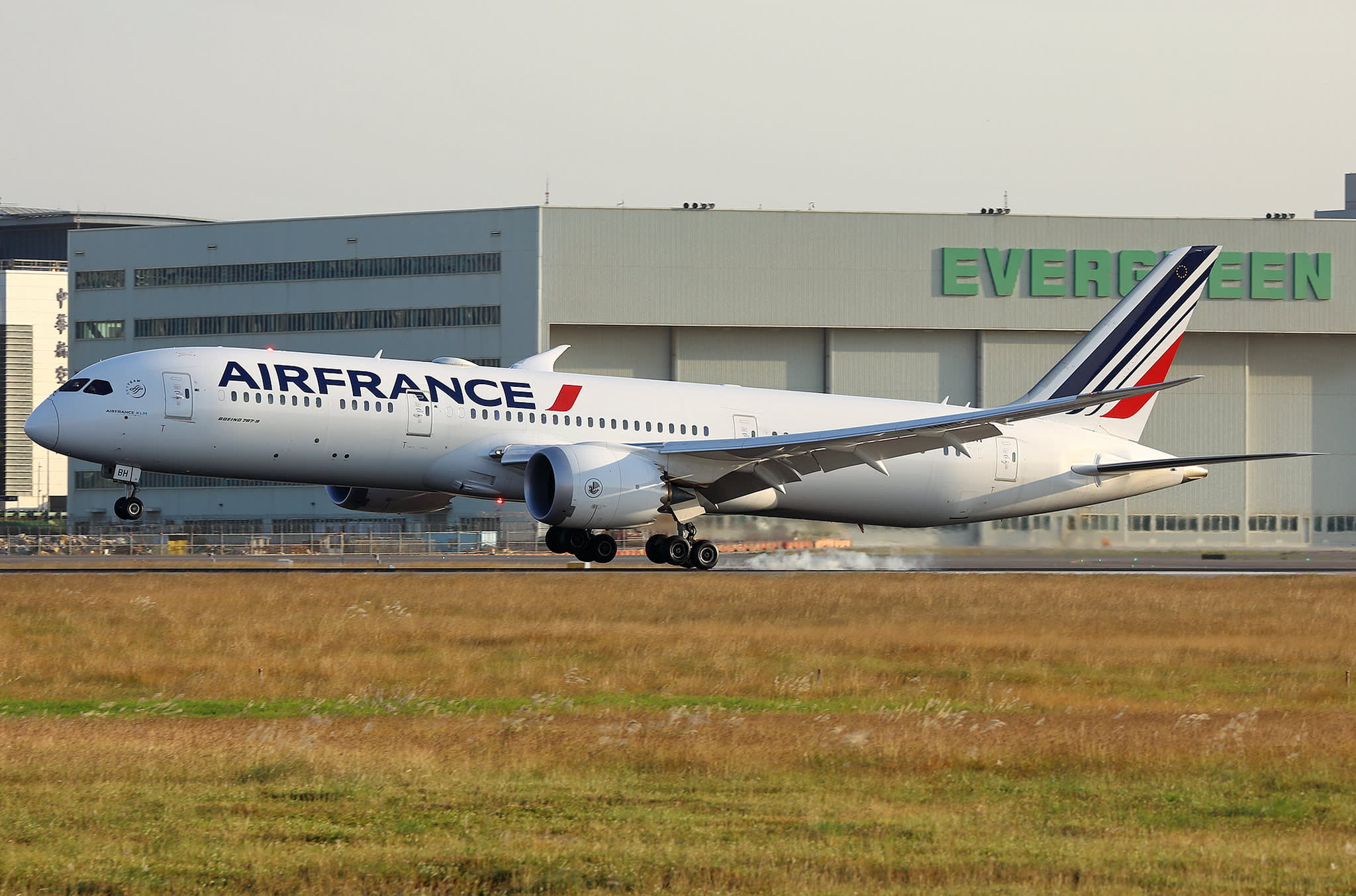 Air France Boeing 787-9 Dreamliner - SkyTeam Virtual