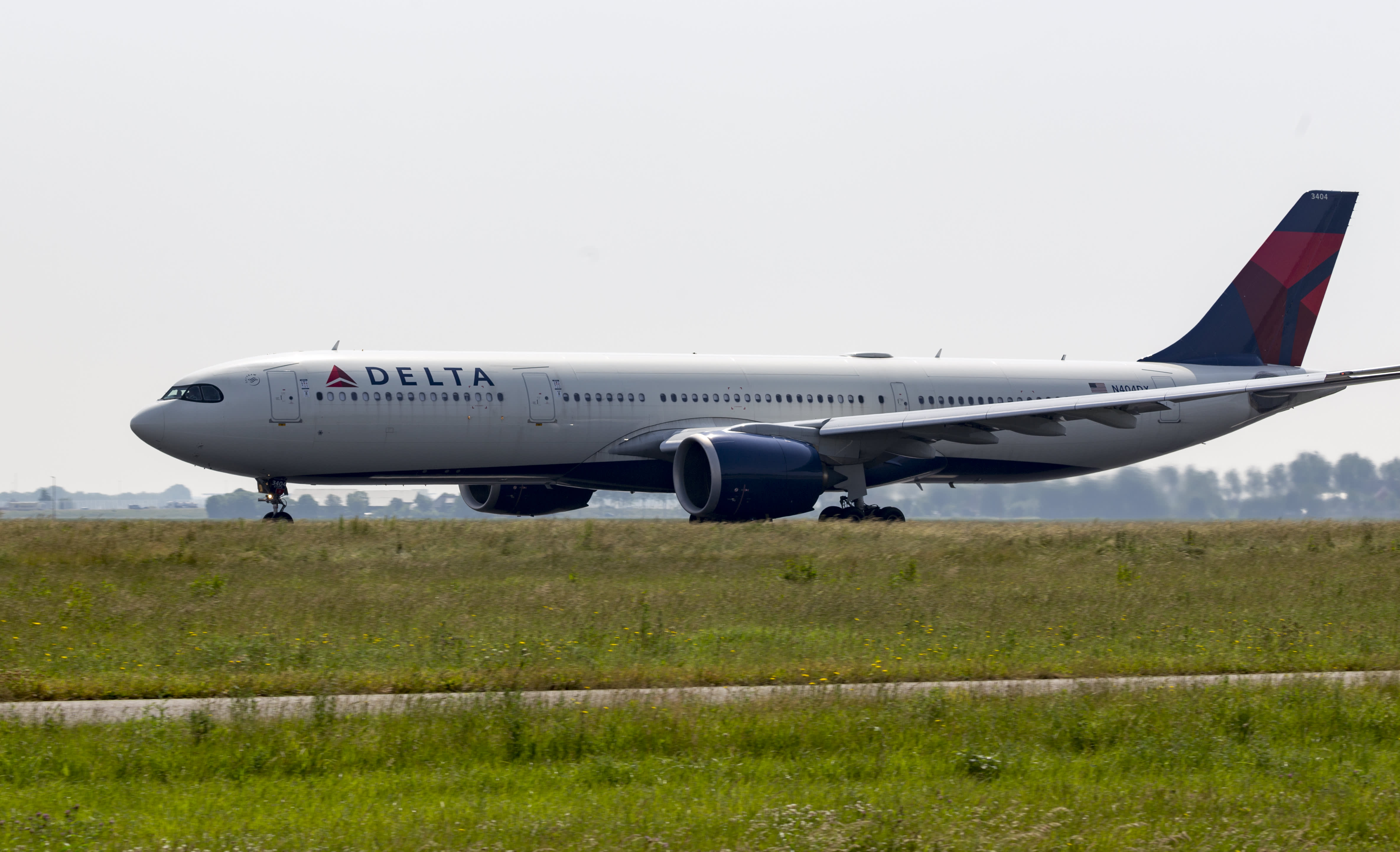 Delta Air Lines Airbus A330-941 - SkyTeam Virtual