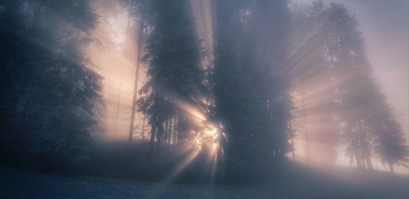 Does God Talk to Me? | Sego Lily Foundation Blog