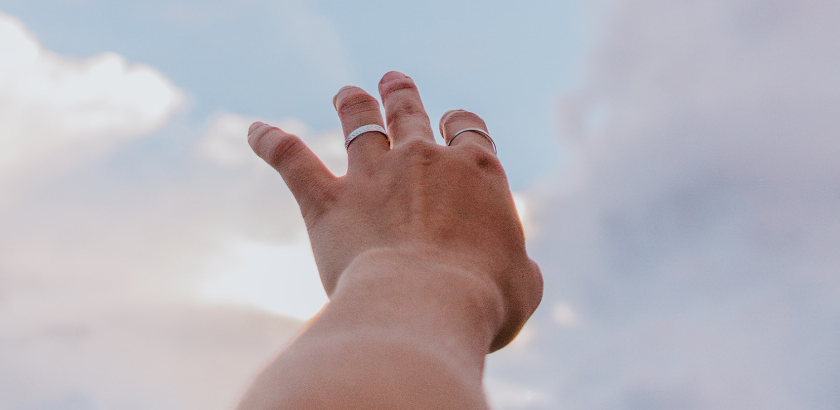 The Bible’s Plan of Exaltation | Sego Lily Foundation Blog