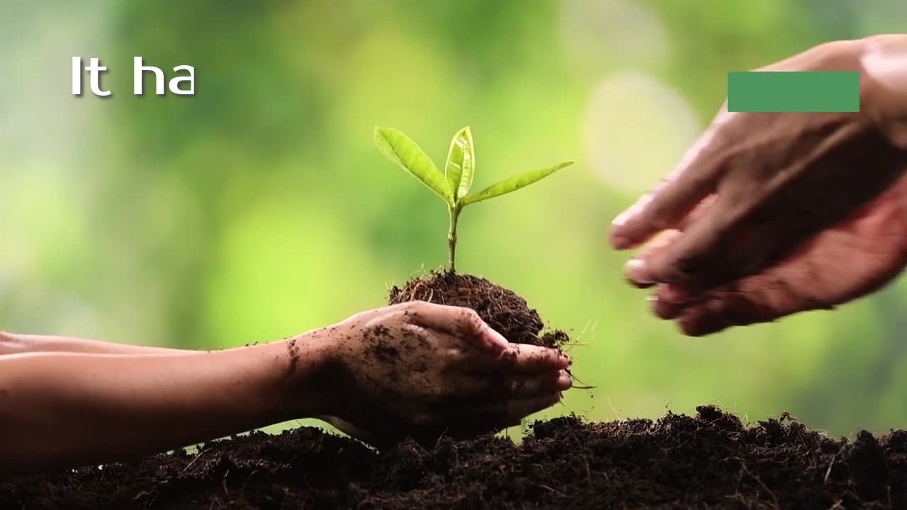 Plant A Tree | Nature/Environment Video Ad Template