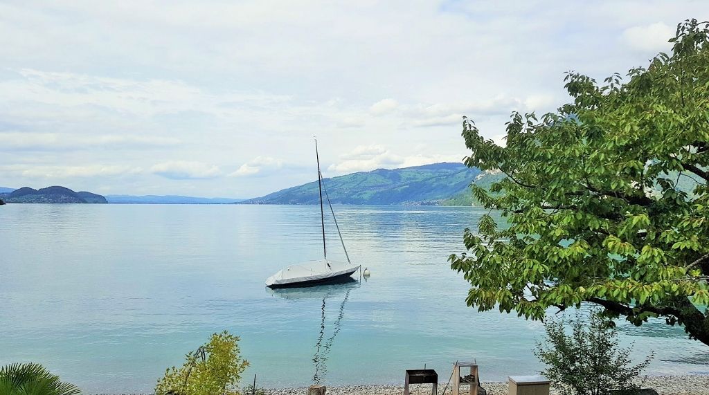 To Interlaken from Basel by train | ShowMeTheJourney