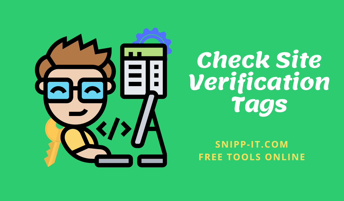 Snipp-It: Site Verification Tags checker