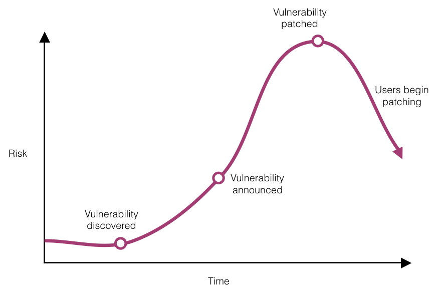 Understanding Responsible Disclosures | Snyk