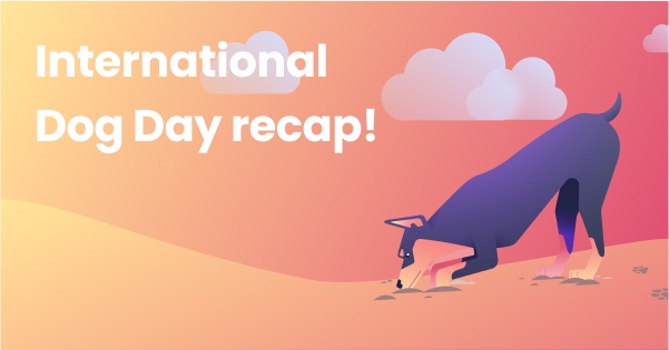 Snyk + International Dog Day: recap | Snyk