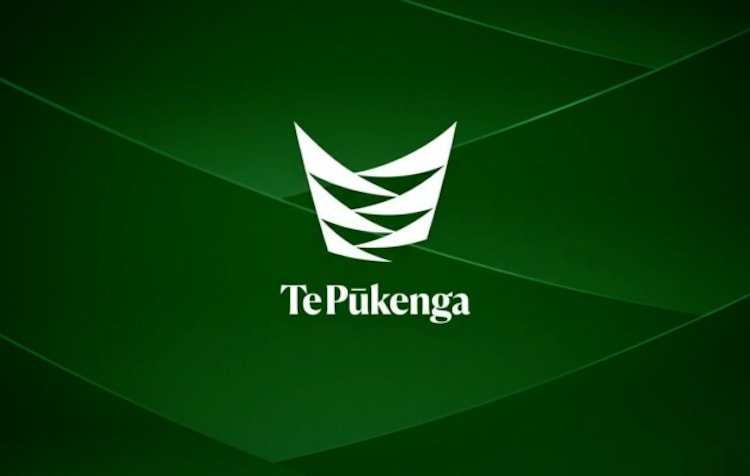 Te Pūkenga partners with Clemenger BBDO led collective for national ...