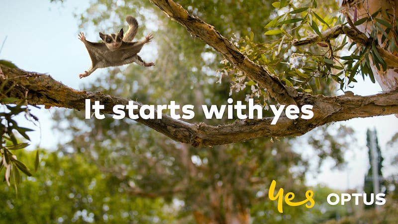 ‘Tis the season to say 'yes' - stoppress.co.nz