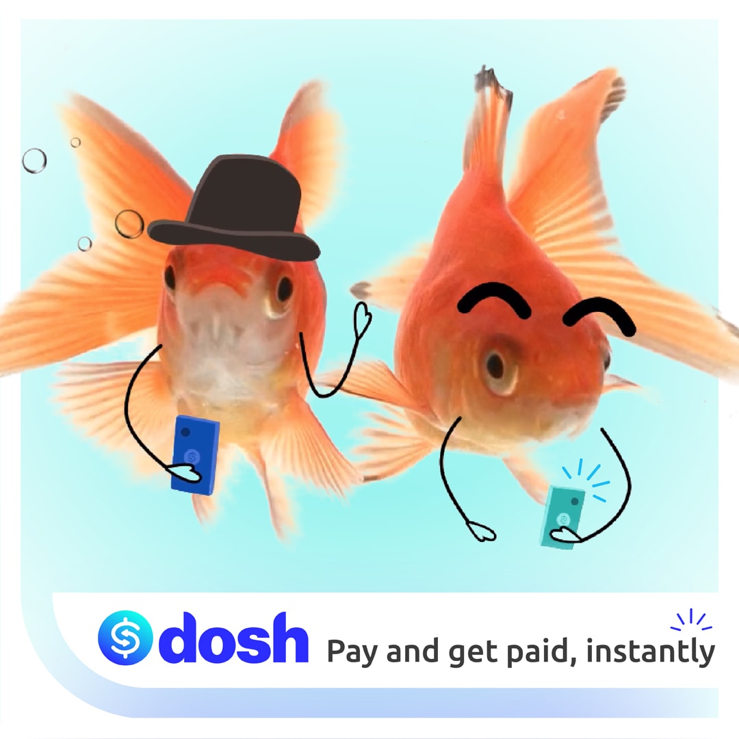 ‘Dosh’ launches with forgetful goldfish, debt-collecting turtles ...