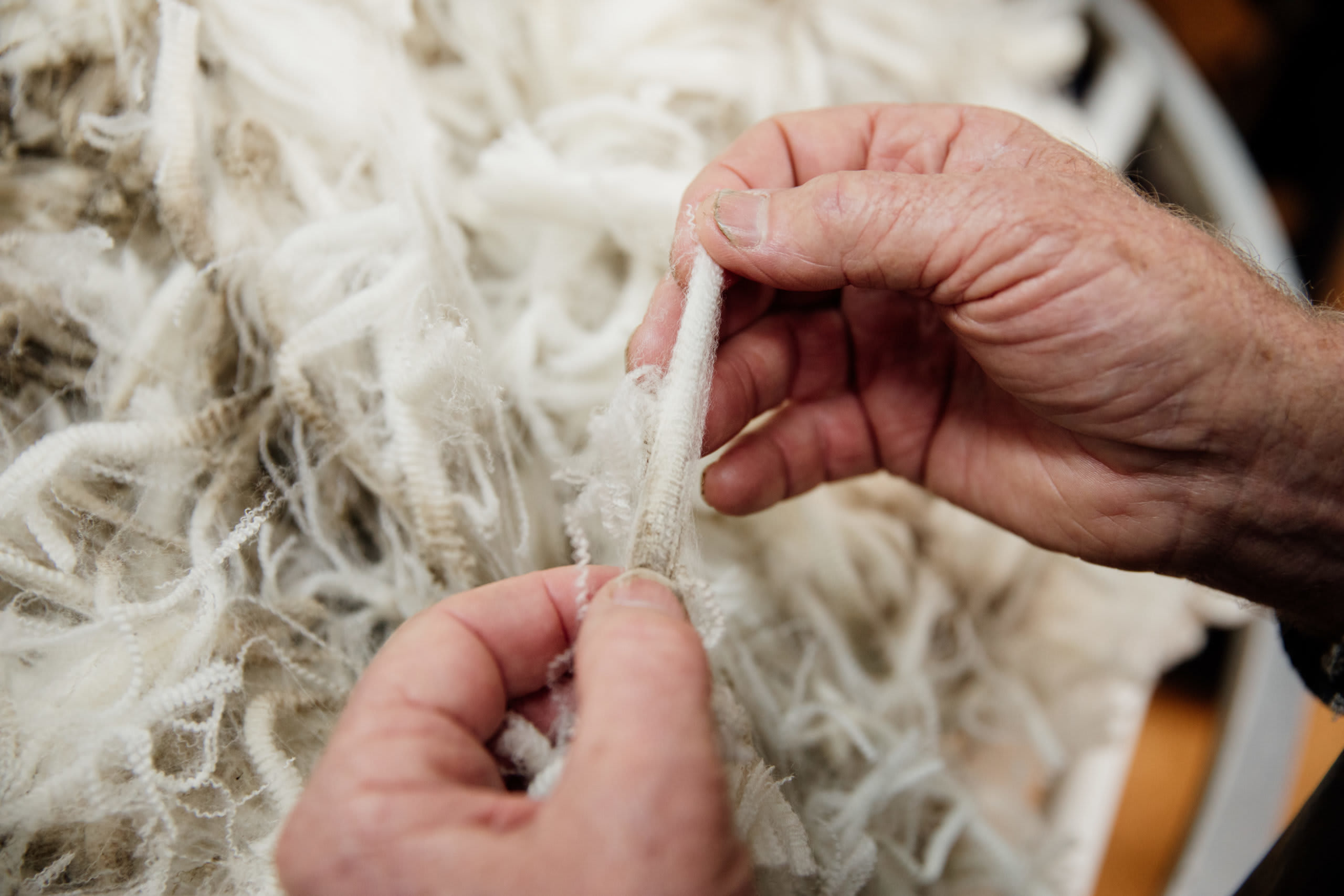 New Zealand Merino Company launches world-first regenerative wool ...