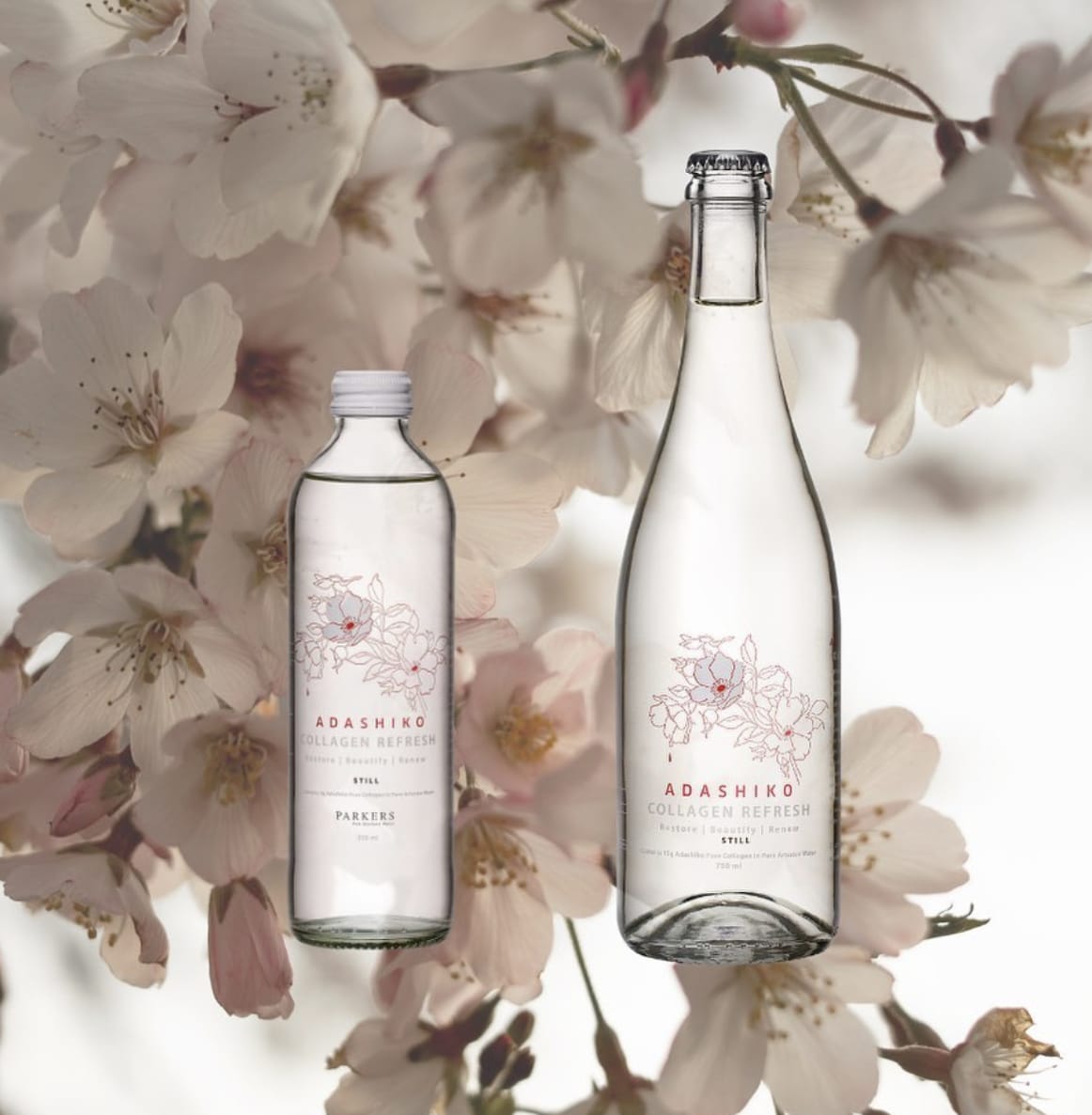 The rise of collagen: Kiwi duo launches world-first RTD - Idealog