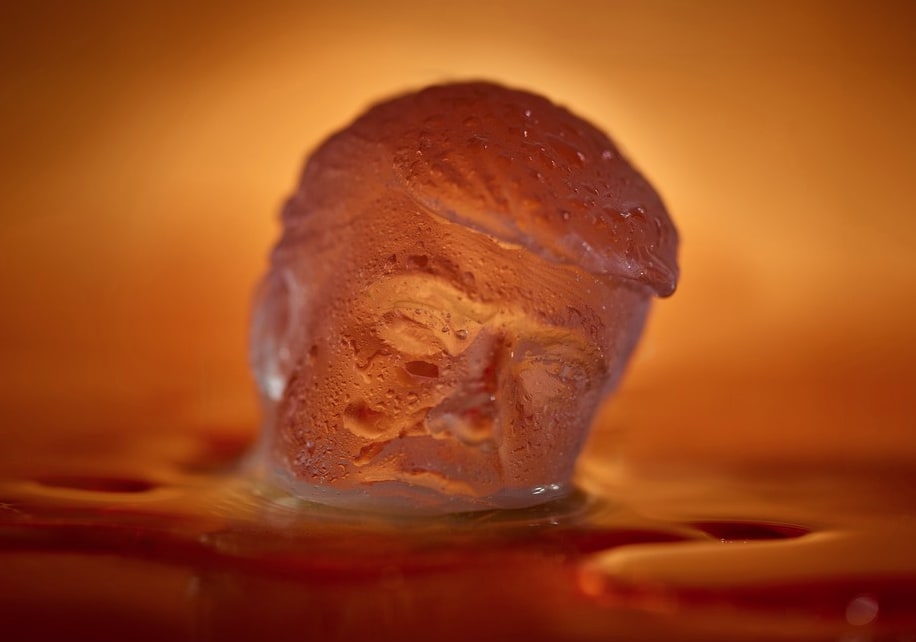 'Perfect for global warming': Kiwi entrepreneurs debut Trump ice-head ...