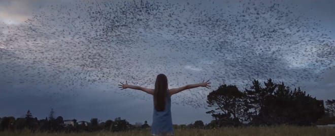 Sam Aldred: a tale of two Sky TVs - stoppress.co.nz