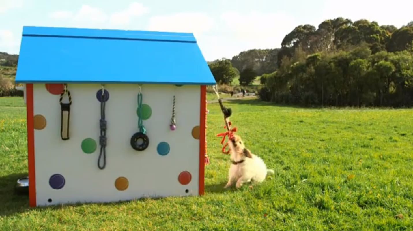 Vending machine for mutts: coming to a park near you - stoppress.co.nz