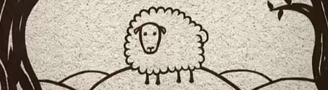 A bit sheepish: Cavalier Bremworth promotes ovine versatility with new ...