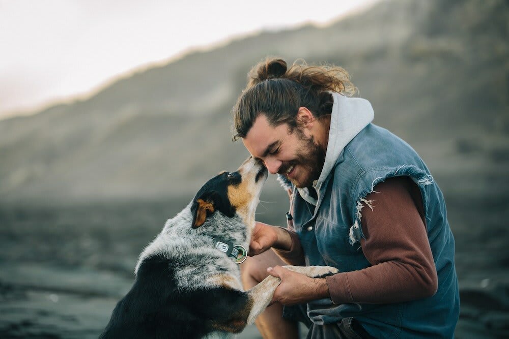 Public Sector - New Zealand Marketing Magazine