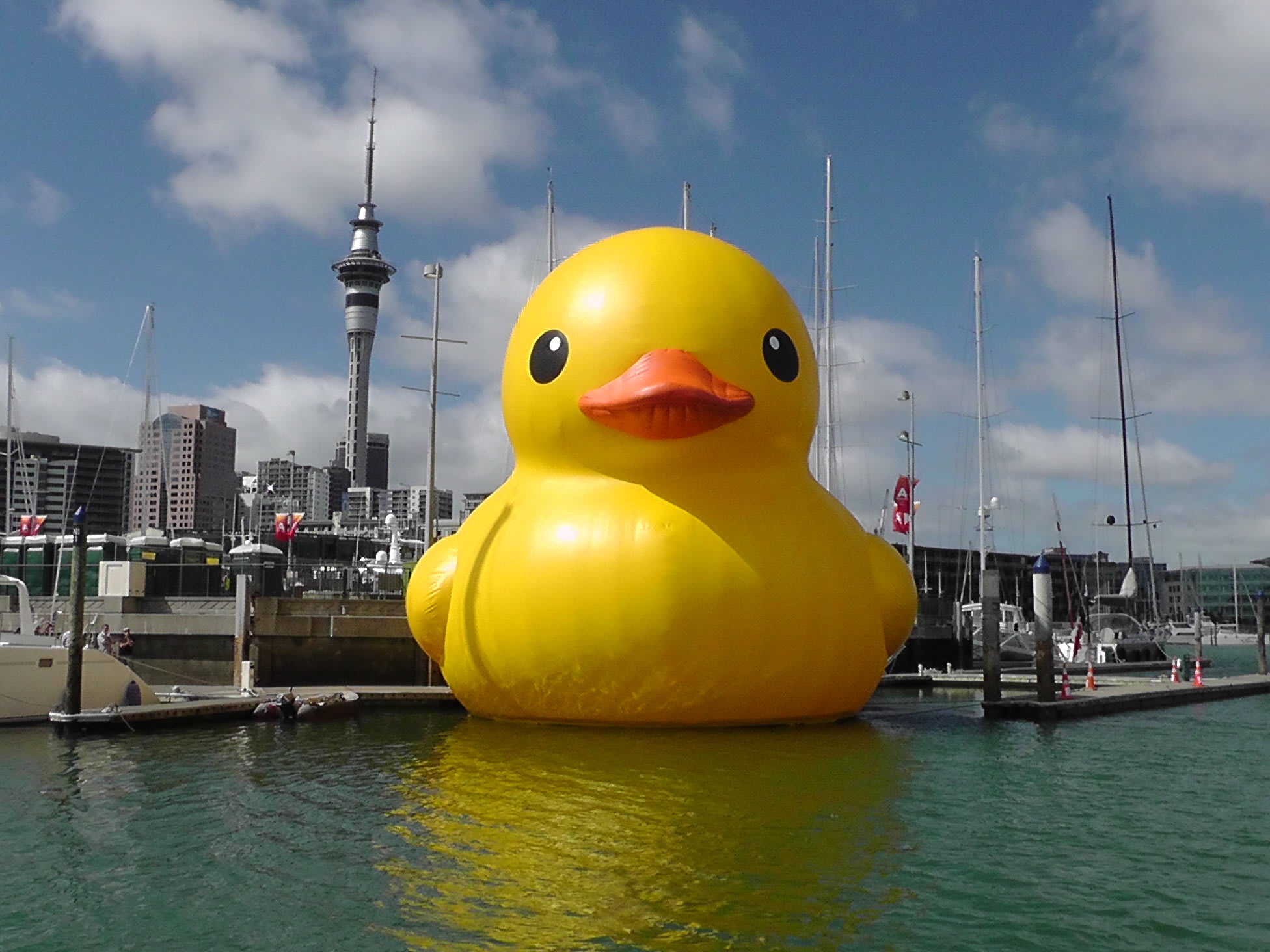 The Idealog guide to the best New Zealand-made* floating things - Idealog