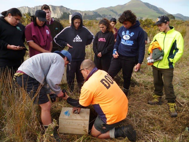How East Coast iwi and individuals teamed up for a healthier ...