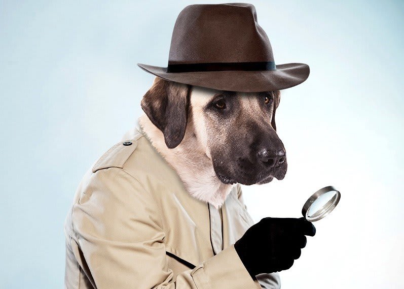 Rolling Rs, olden-time complaining and inbreeding: Check out this year ...