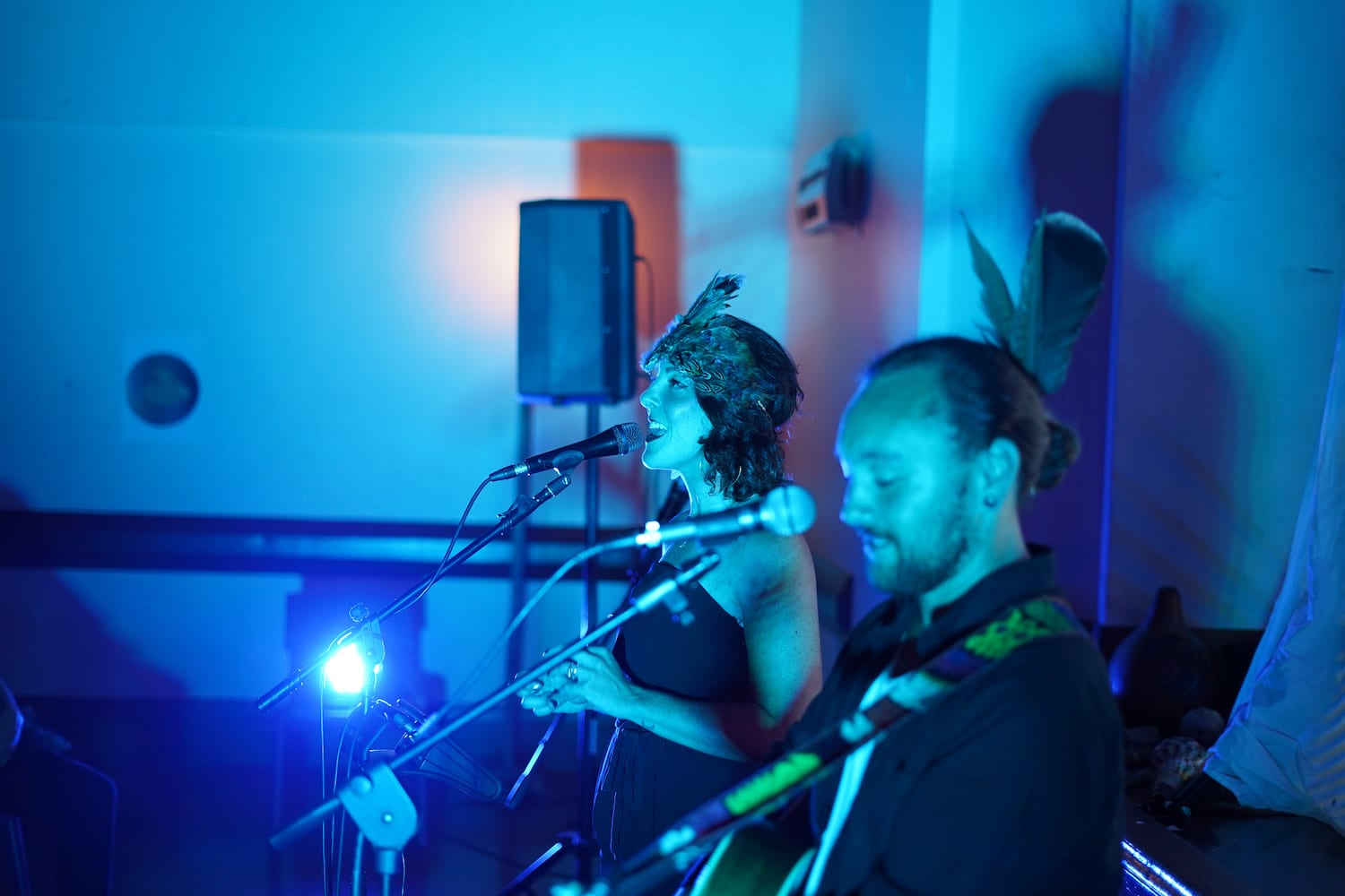 Inspired by NZ’s birds: Aro launches debut album - Good Magazine