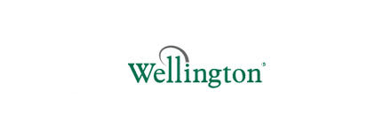Wellington Drive hunts $5 million for faster acceleration - Idealog