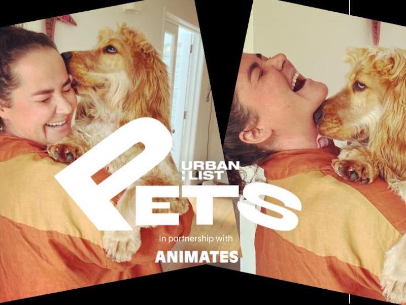 Urban List and Animates partner on one-stop shop for pet owners ...