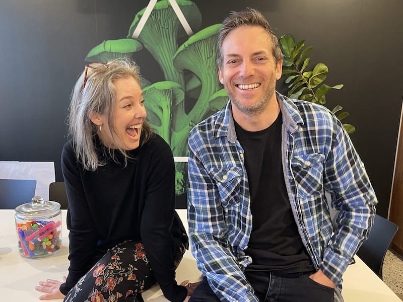 Lion NZ appoints Thinkerbell Aotearoa as key creative partner ...