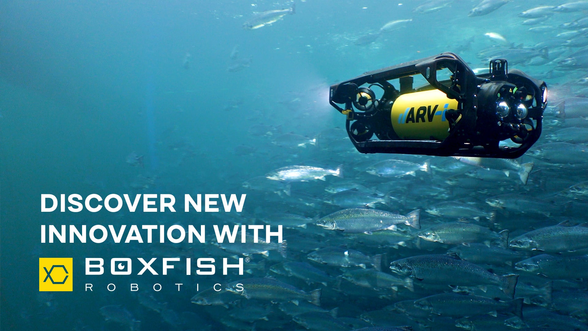 BoxFish rebrands with robotics focus - Idealog