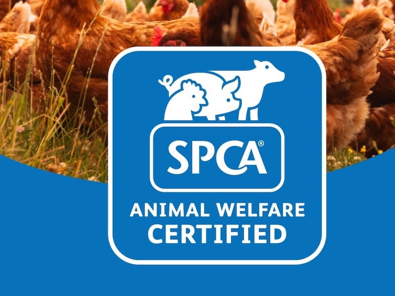 Energi and SPCA launch animal welfare programme - stoppress.co.nz