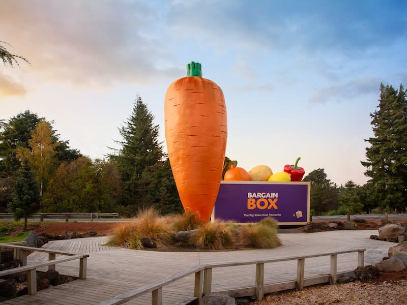 Bargain Box works with Yarn on surprise delivery - stoppress.co.nz