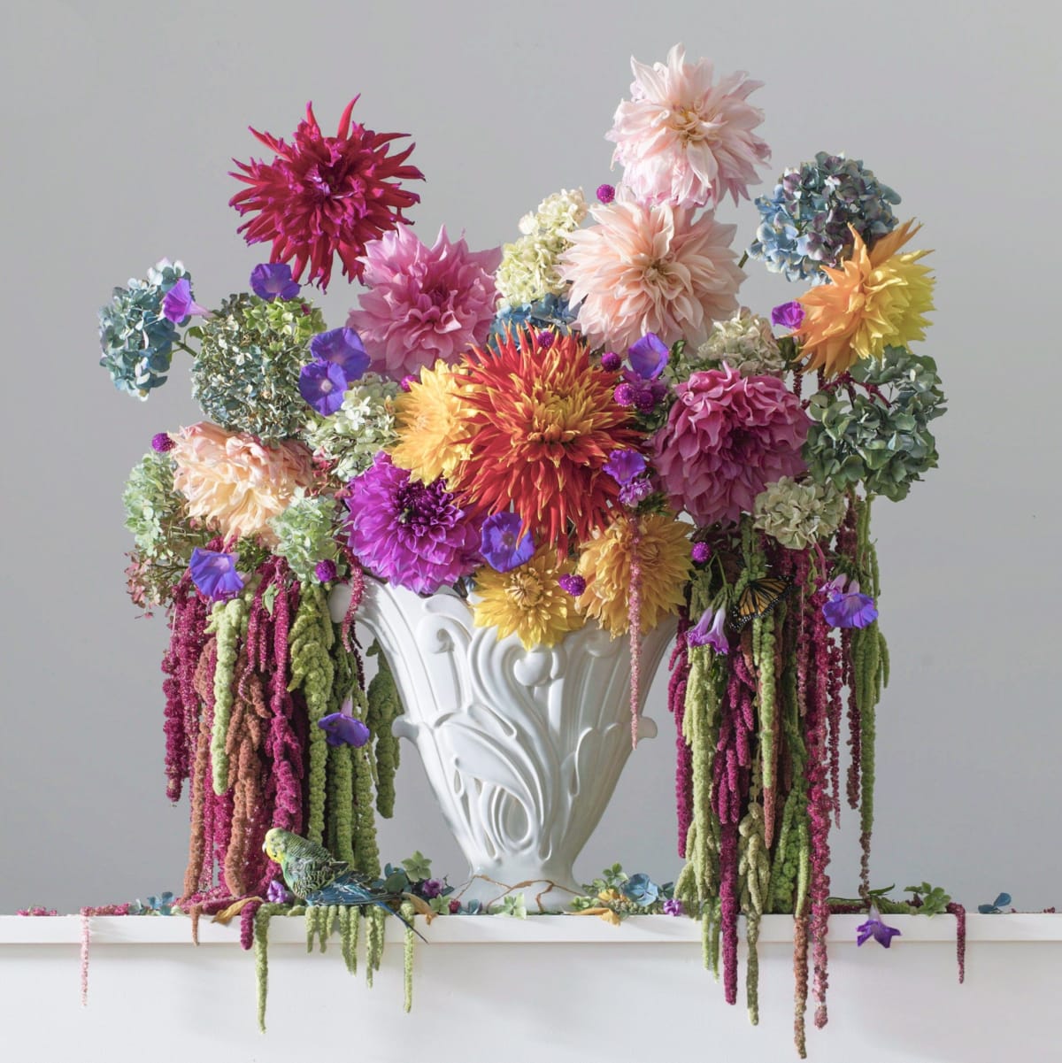 Exhibition: Floral portraits by Emma Bass - Good Magazine