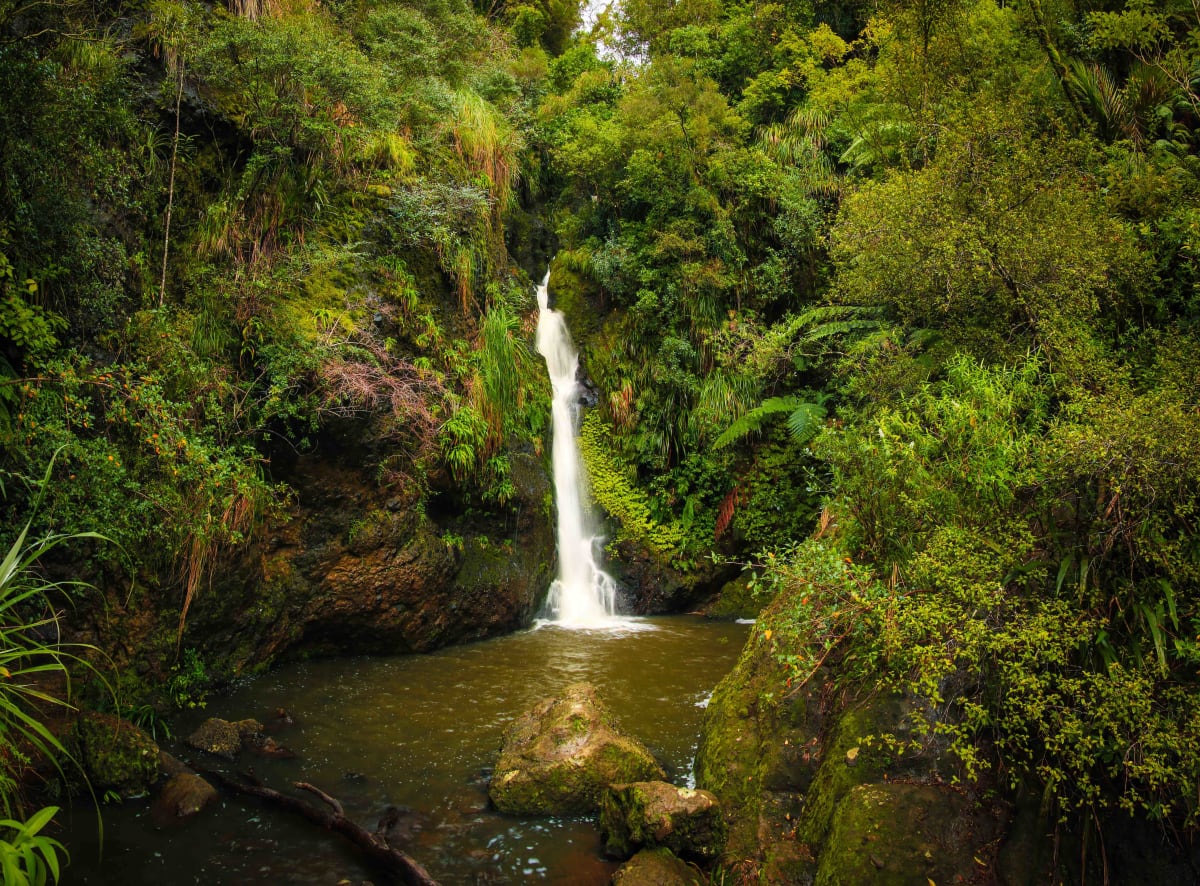 Falls, fungi & fables - a hike to Karamatura Falls and scenic Mt Donald ...
