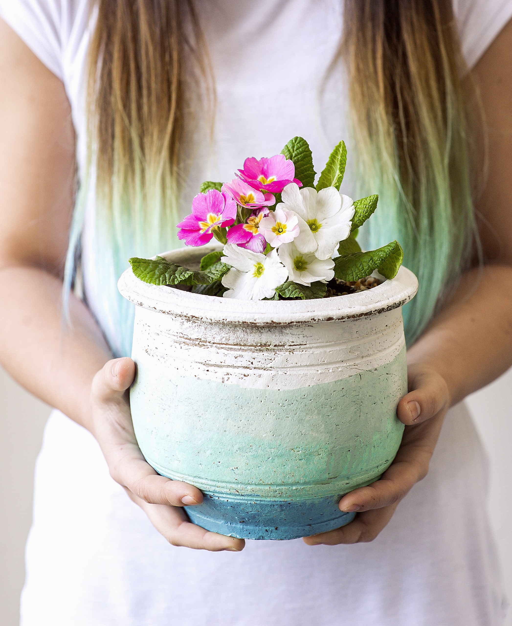 Potted colour - Good Magazine