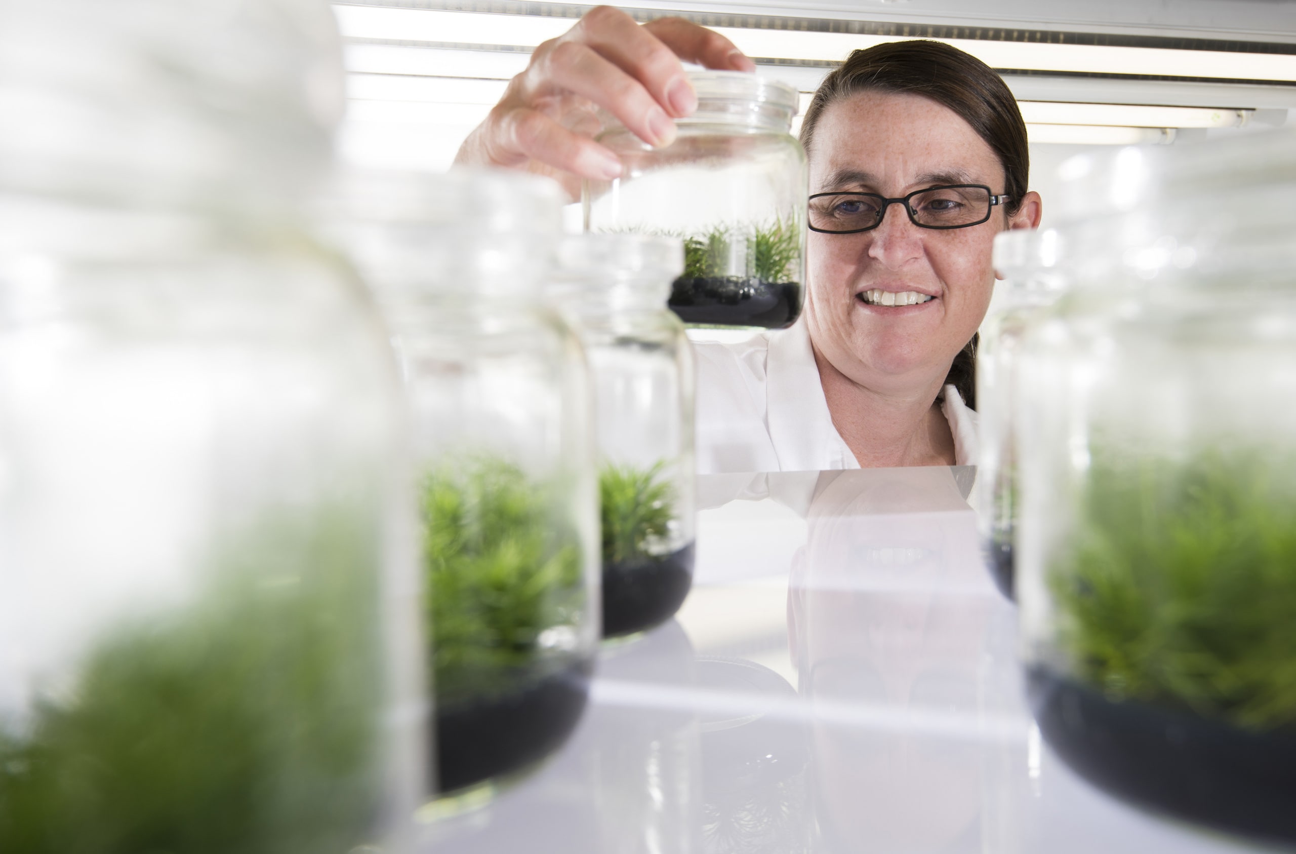 How AJ Park helps companies branch out - Idealog