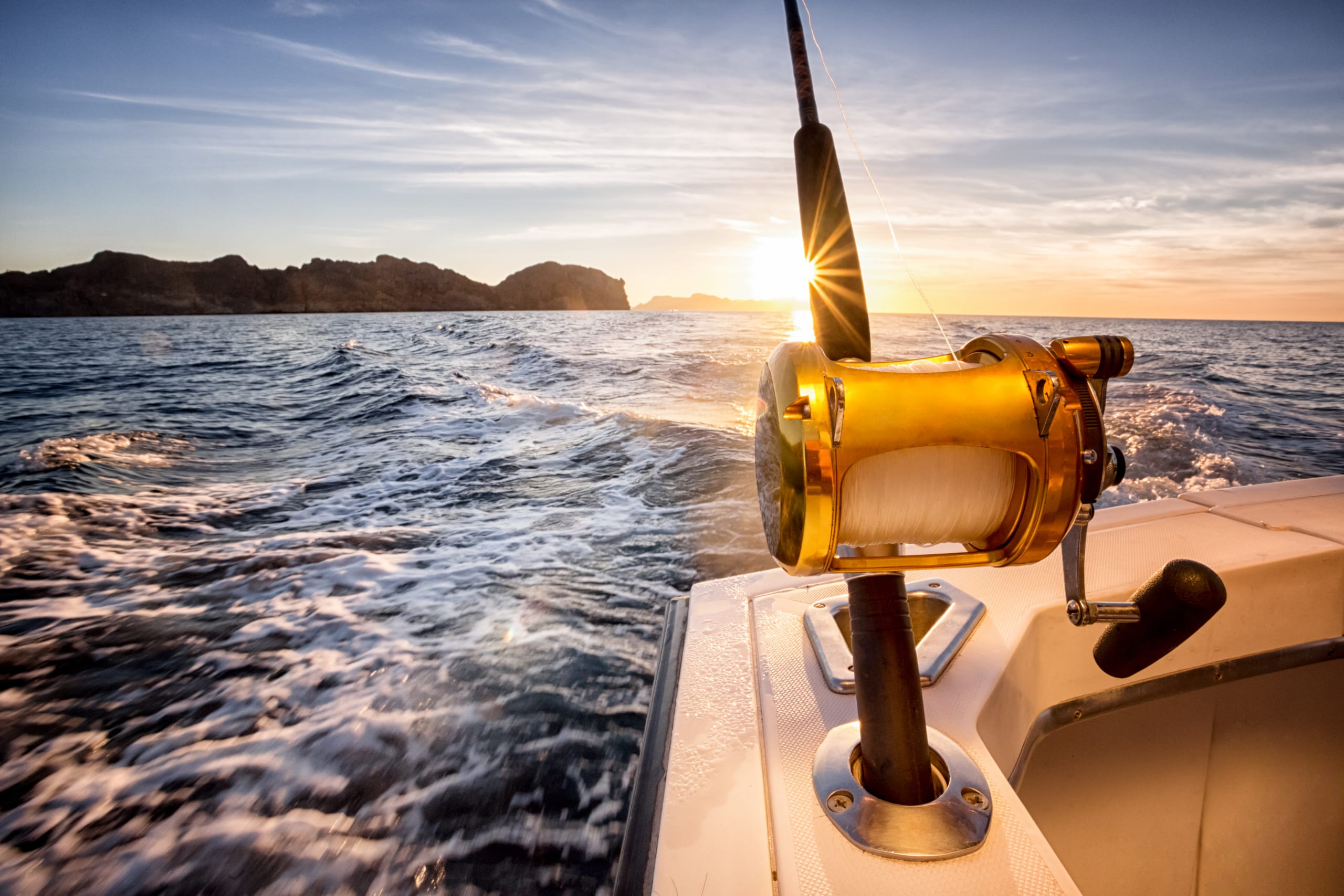 Maritime NZ appoints Federation - stoppress.co.nz