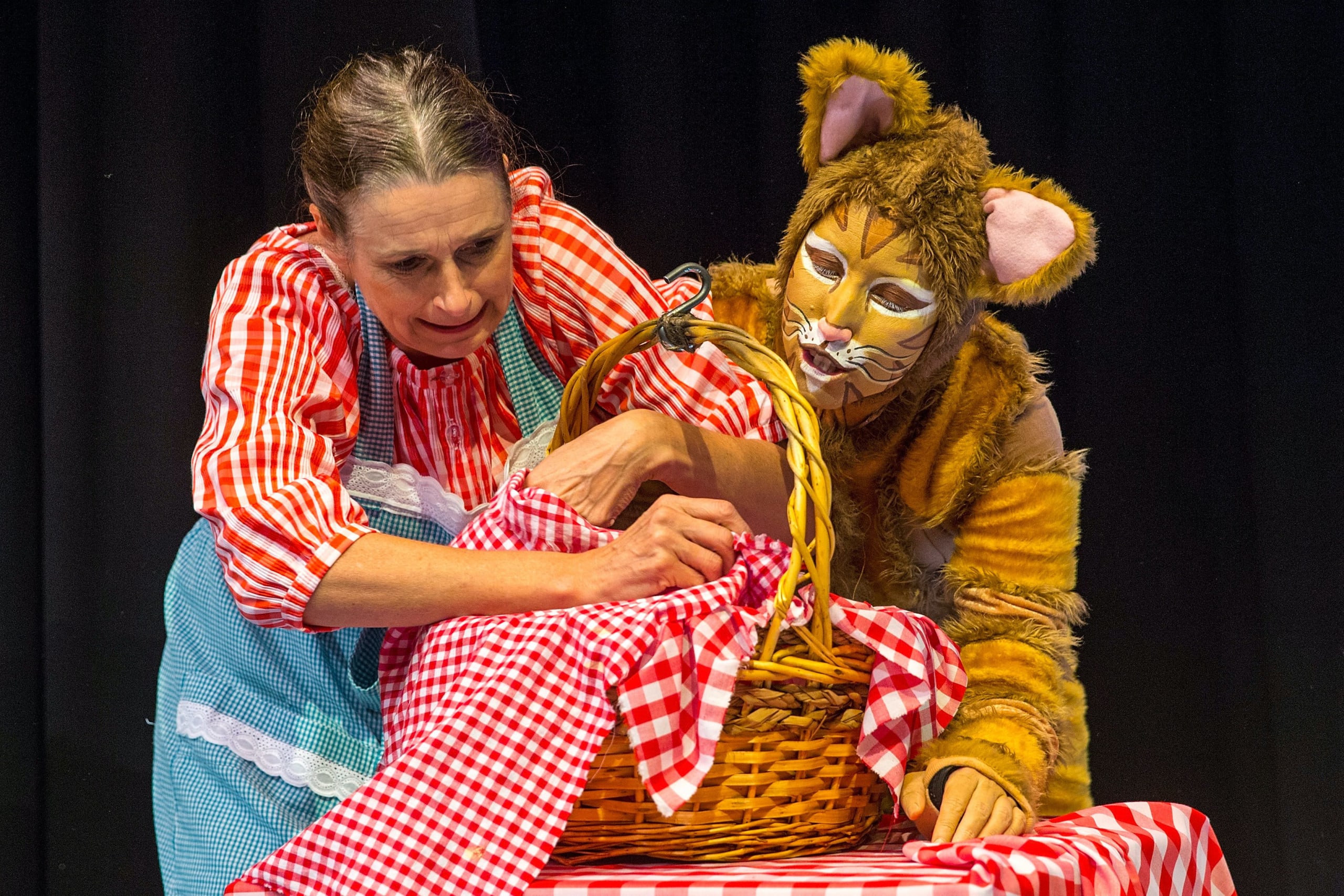 Tim Bray Theatre Company Sail The High Seas With The Lighthouse Keeper ...