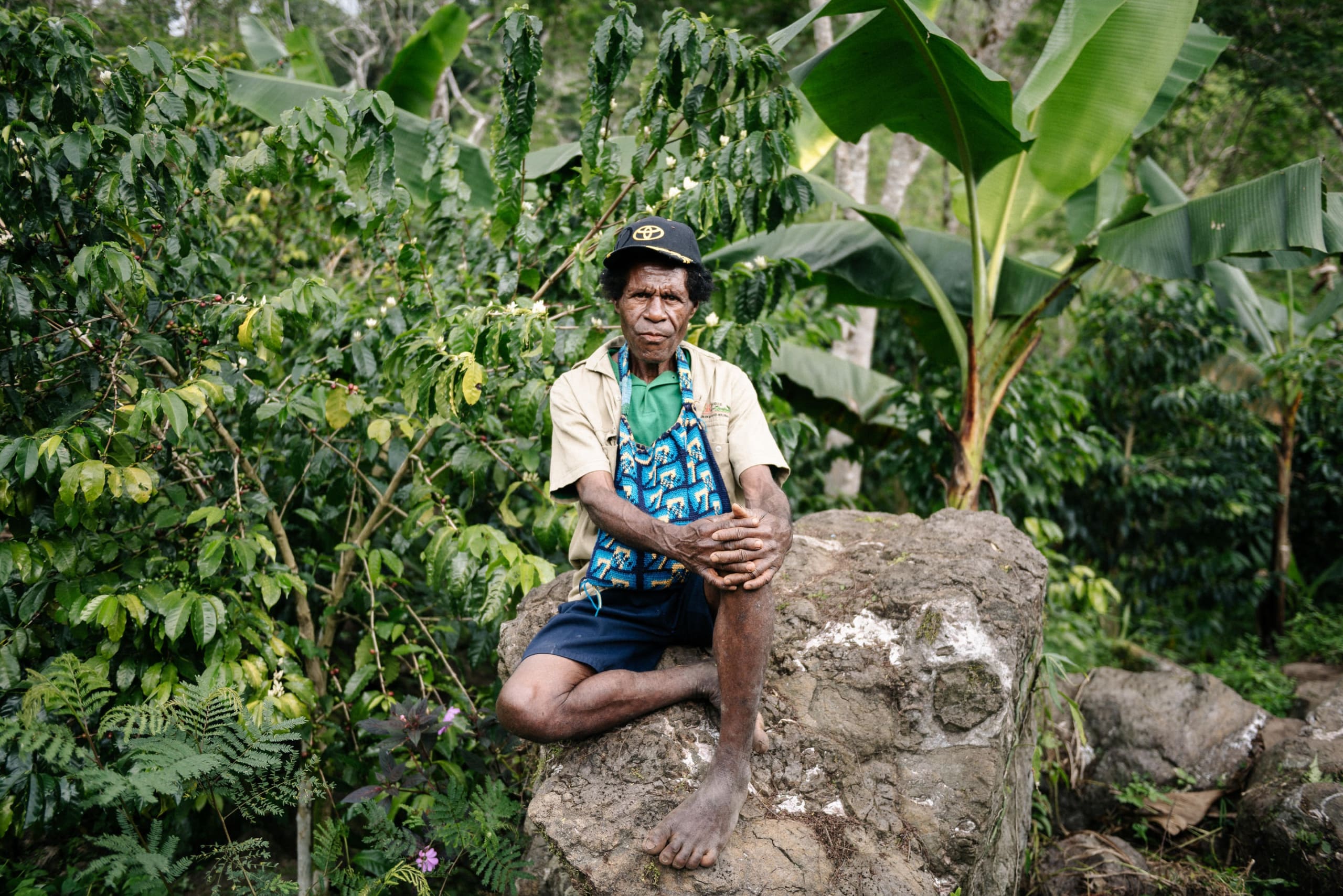 The story of your Morning Cup - Good Magazine