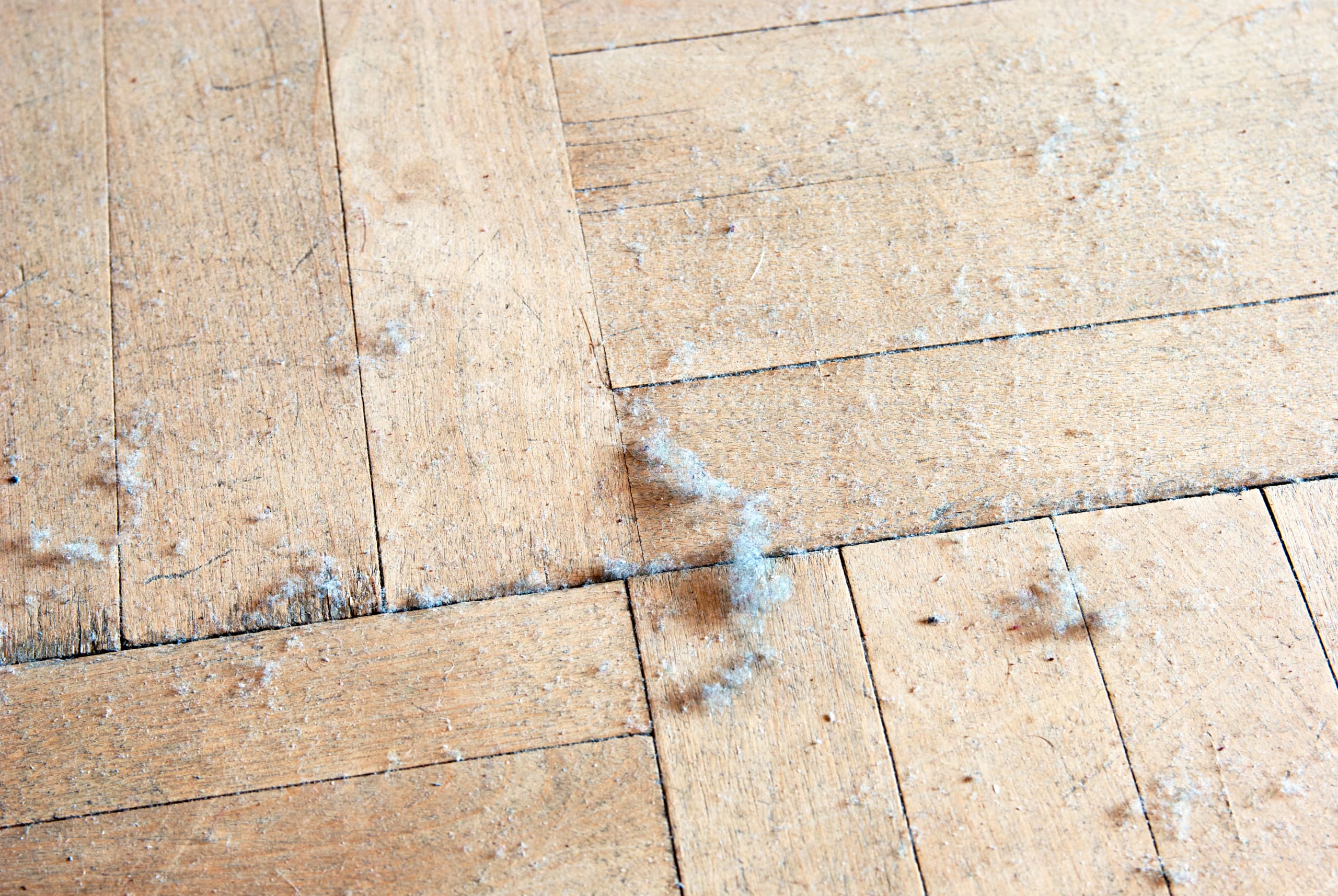 How dirty is your house? What you should know about the dust in your ...