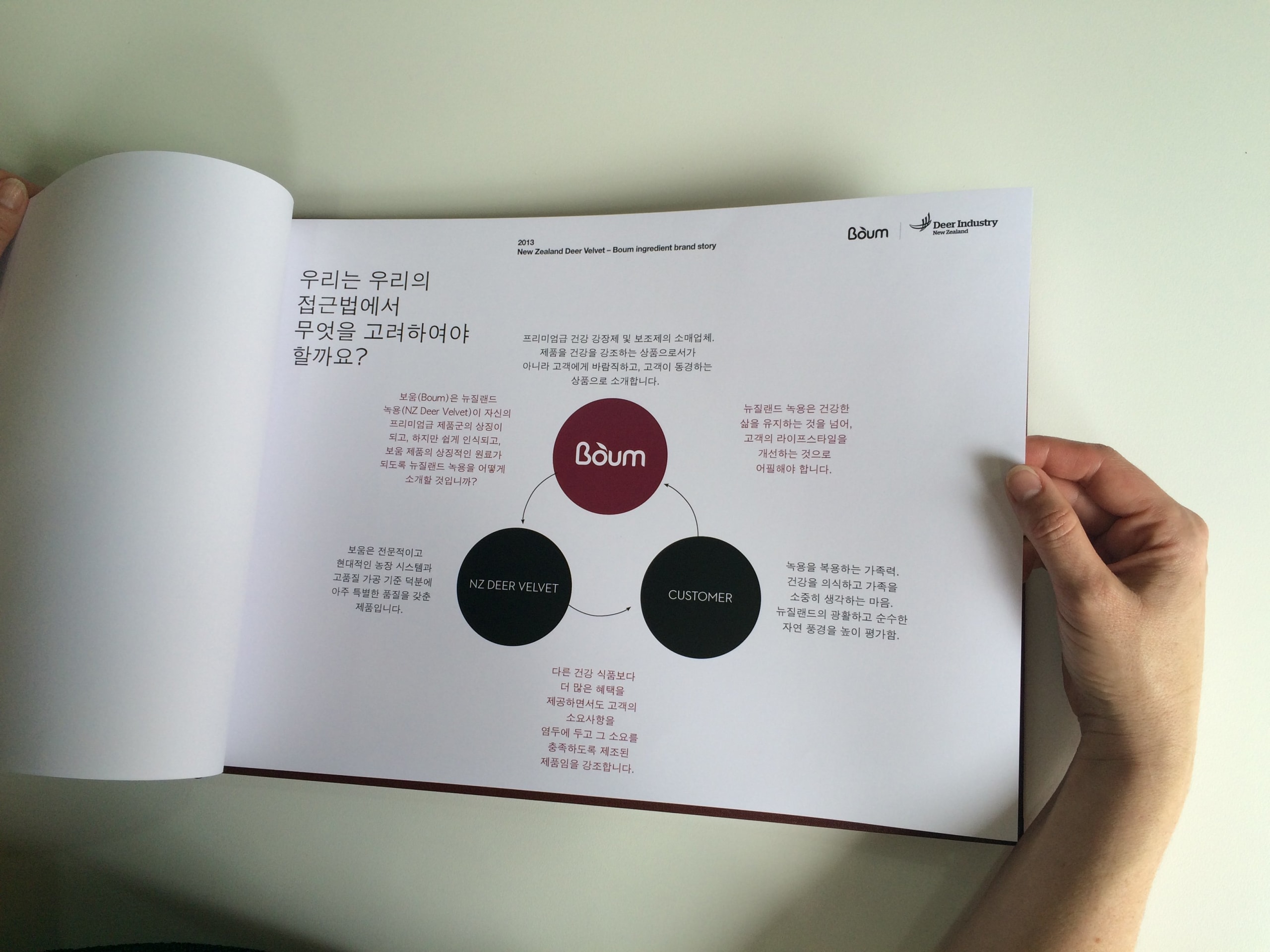 Inside: Ocean Design - stoppress.co.nz