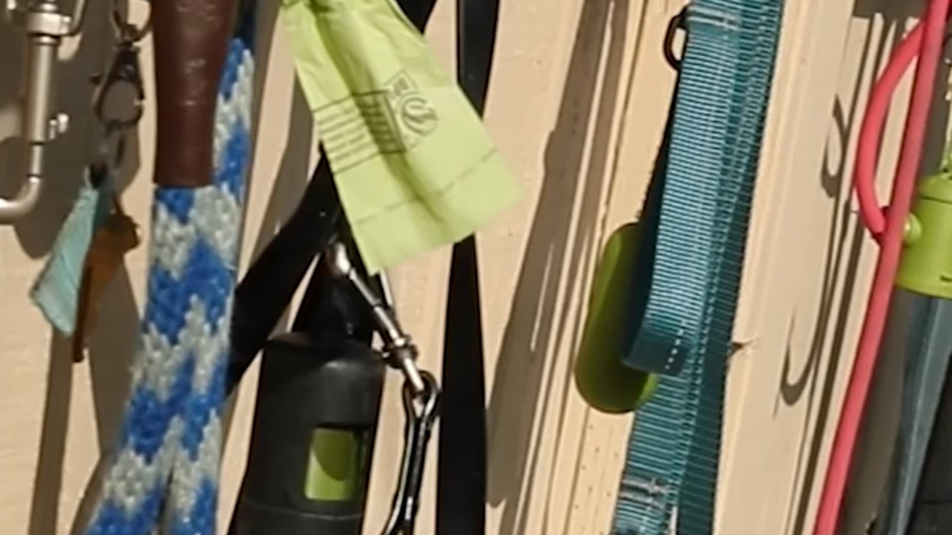 Dog Day Afternoon Offsite at DOG PPL