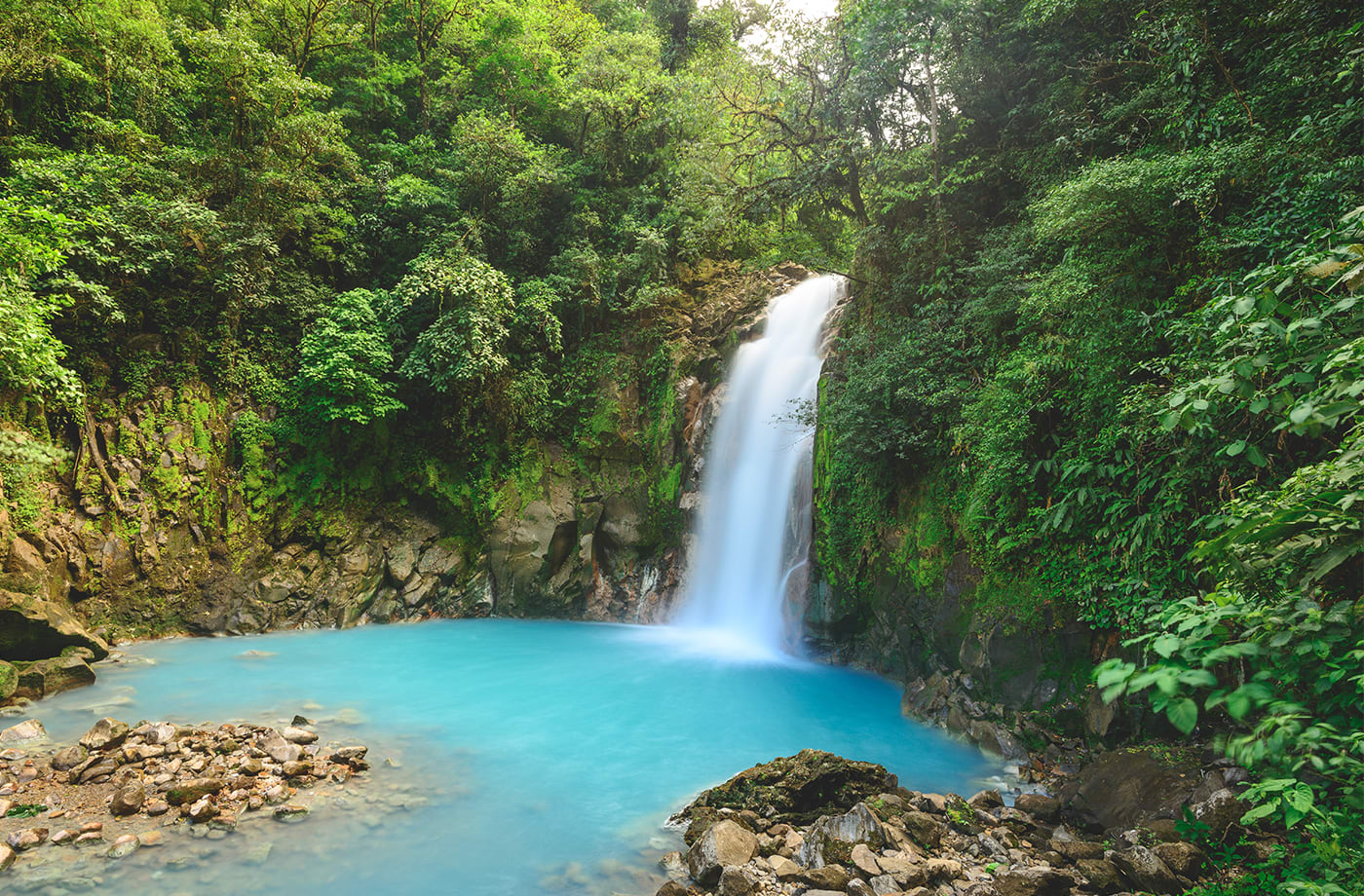 Soho House | A beginner’s guide to forest bathing