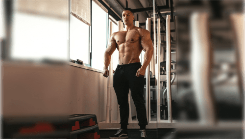 4 Week Full Body Shred Program