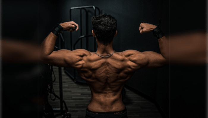 6 Week Lean Aesthetics Program