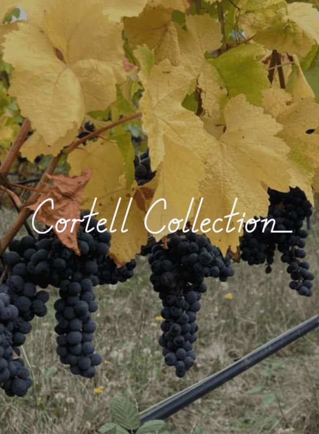 Fleury Estate Winery | 2016 Rutherford Cabernet Sauvignon