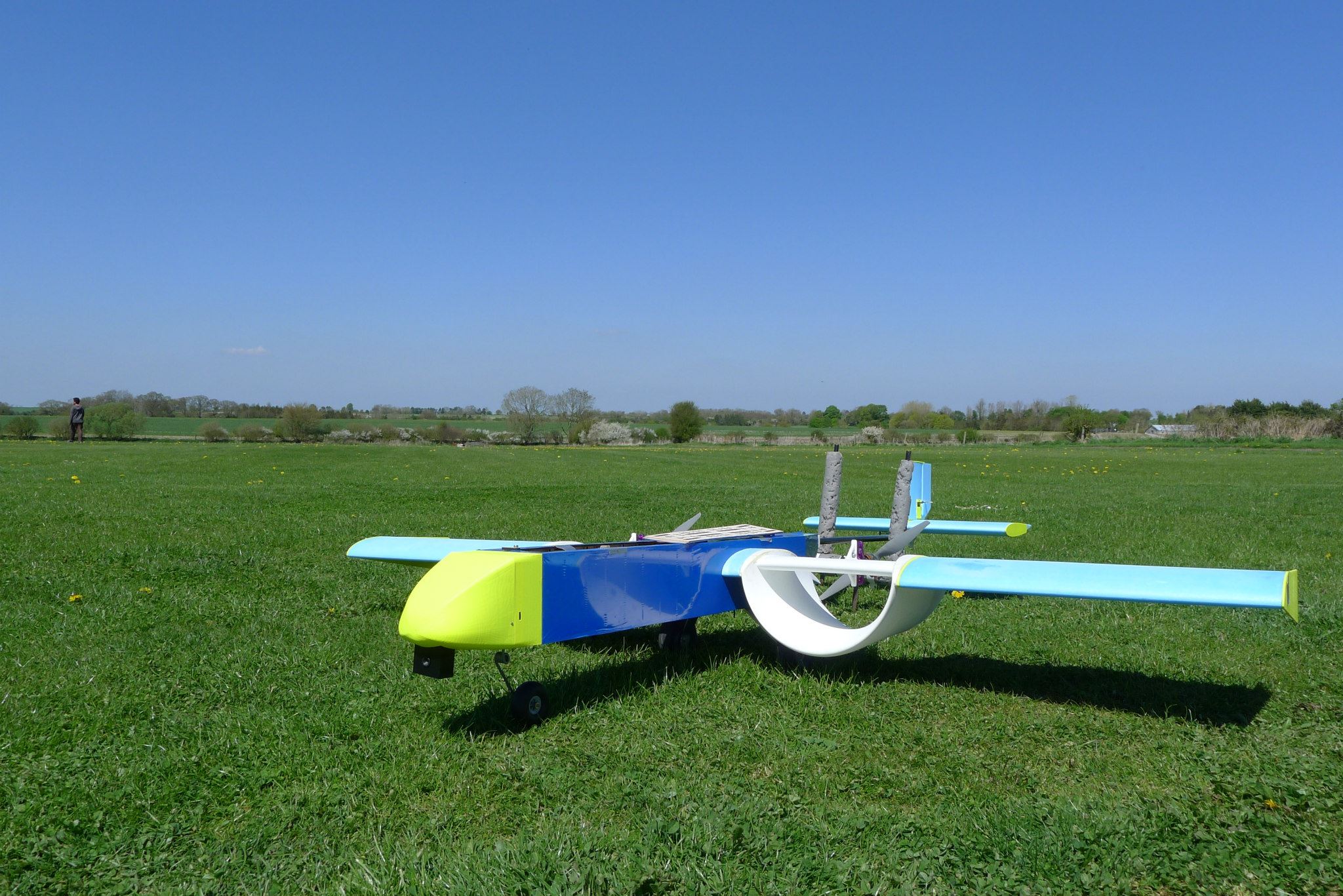 Frances Ng | Introduction