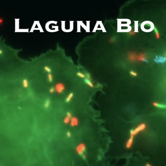 Laguna Bio - SOSV