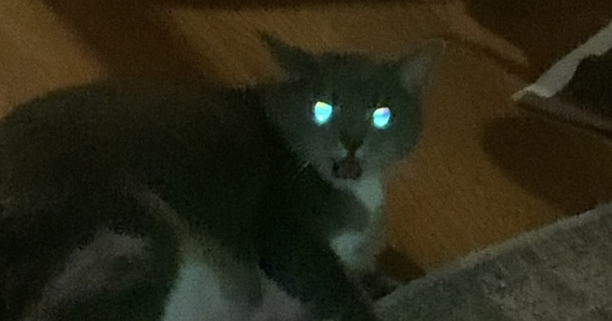 Cigrit - Guitar - 800 N 21st St | SoundBetter